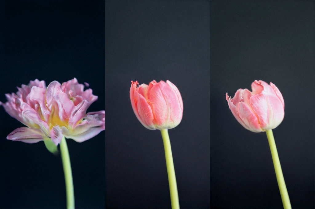 The Art of Intelligence - Sponsor Content - Google