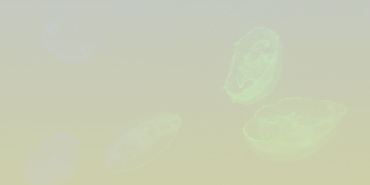 How Fast is Technology Accelerating?