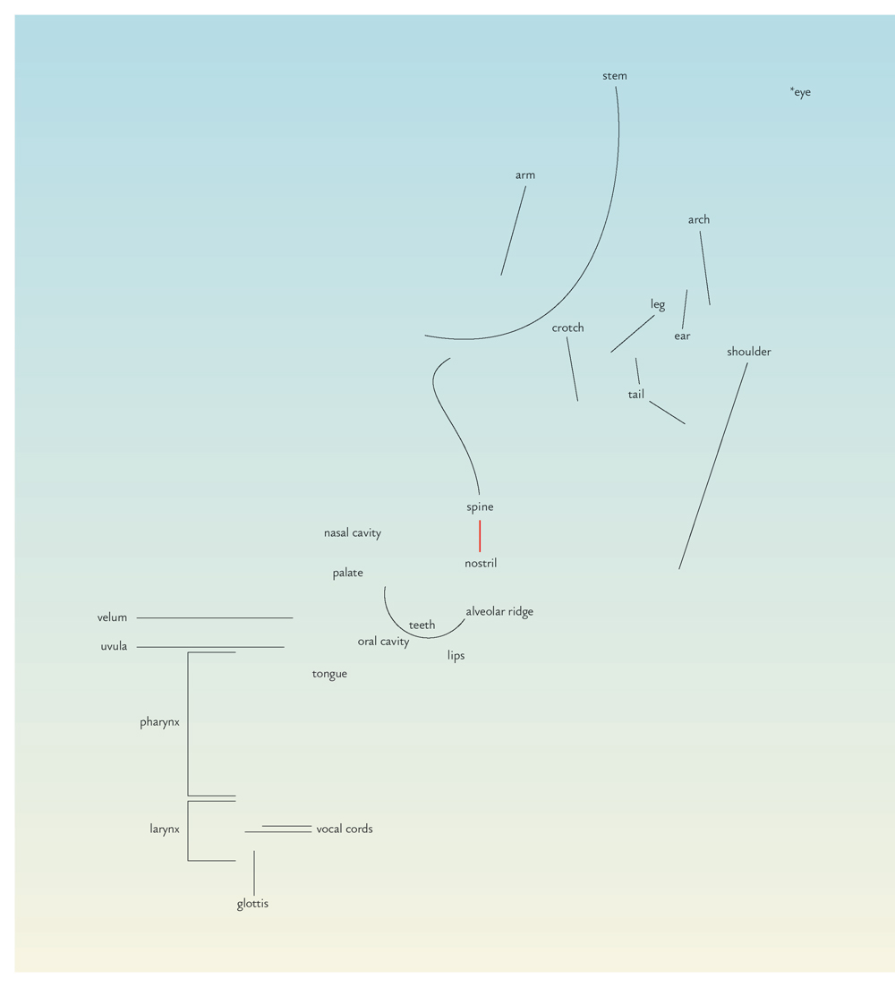 A Visual History of the Alphabet - The Atlantic