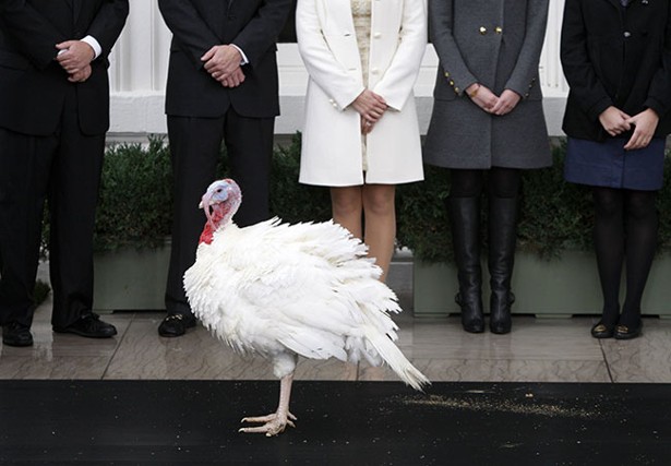 The One Turkey Delicacy You Probably Won't Eat This Year: 'Short Fries ...