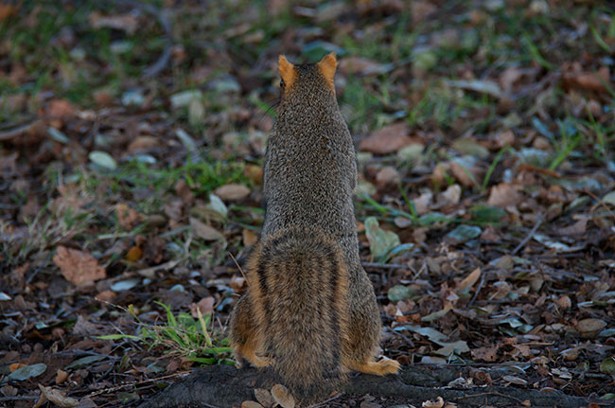 5 Intriguing Things: Tuesday, 12/17 - The Atlantic