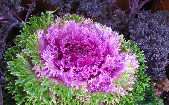 Here It Is: The Best Word Ever - The Atlantic