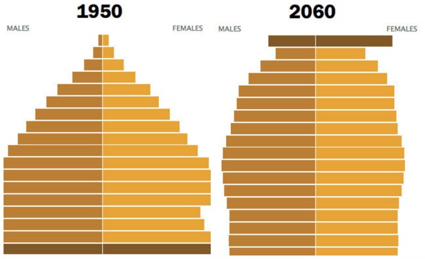 The End of the Age Pyramid - The Atlantic