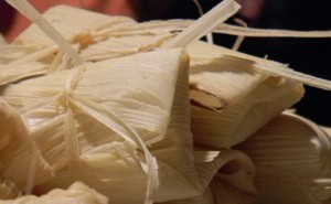 All Stories by Tanya Basu - The Atlantic