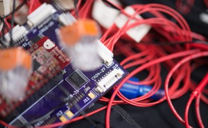 All Stories by Shirley Li - The Atlantic