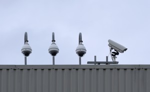 All Stories by Shirley Li - The Atlantic