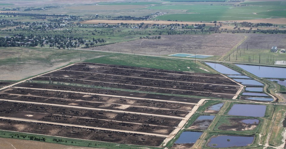 Wheat Farms and Wind Farms in Kansas - The Atlantic