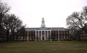 All Stories by Alia Wong - The Atlantic