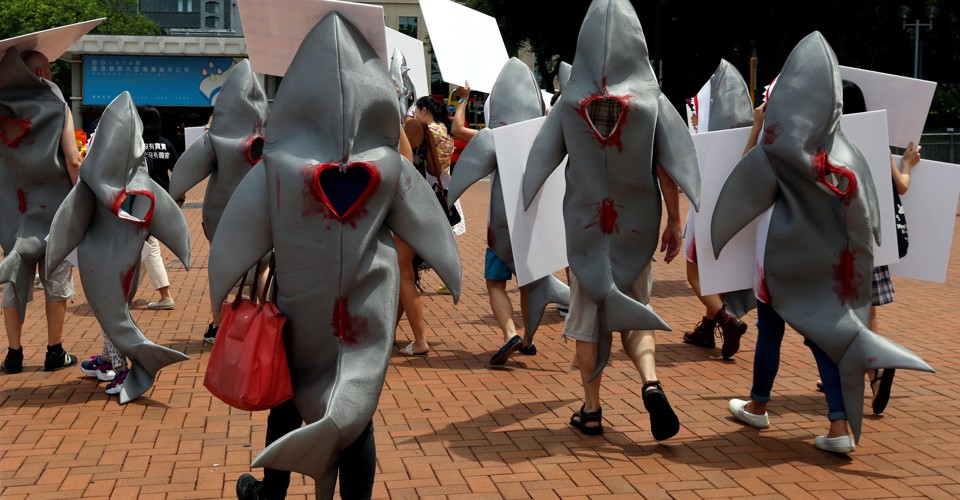 Trump Jumps the Shark - The Atlantic