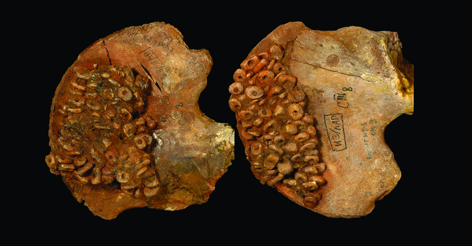 Sunghir, the Extravagant Early-Human Burial Site, Gets a New Twist ...