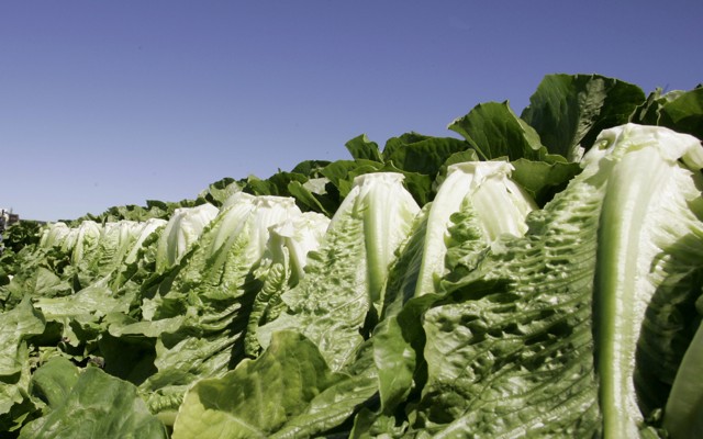 The Forgotten Female Shell-Shock Victims of World War I - The Atlantic