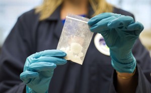 All Stories by Joseph Frankel - The Atlantic