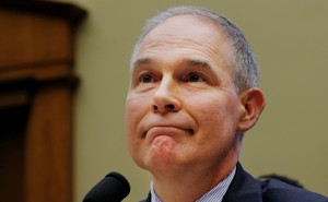 All Stories by Elaina Plott - The Atlantic