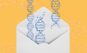 All Stories by Sarah Zhang - The Atlantic