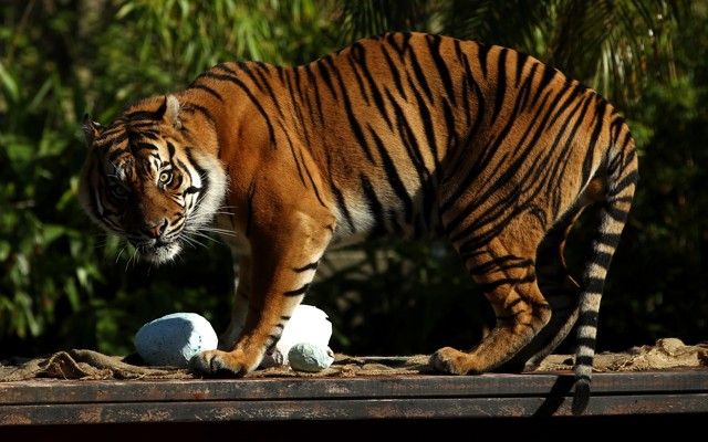 Native American Youth and Education on the Reservation - The Atlantic