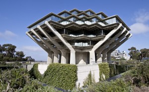 All Stories by Sarah Zhang - The Atlantic