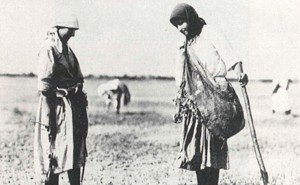 All Stories by Sarah Zhang - The Atlantic