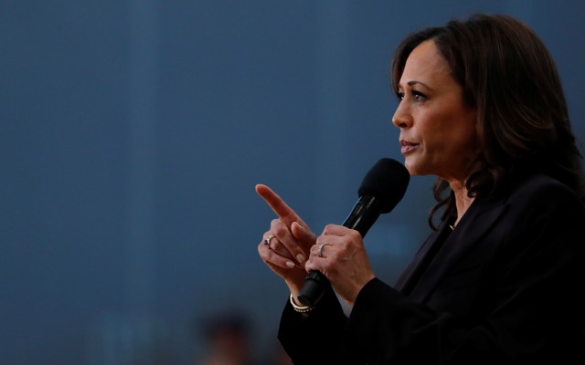 The Origin of Dogs: When, Where, and How Many Times Were They ...