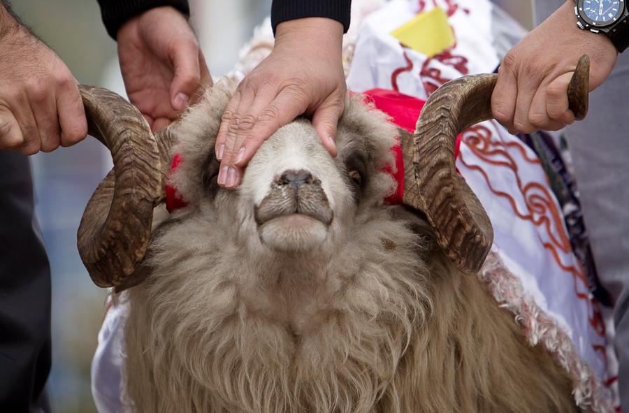 The Hajj and Eid al-Adha 2011 - The Atlantic