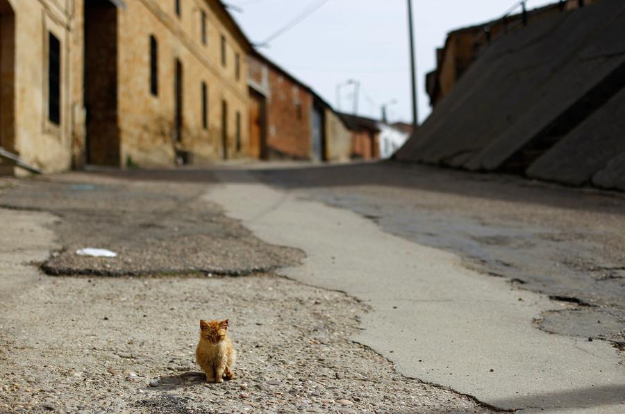 A World Without People - The Atlantic