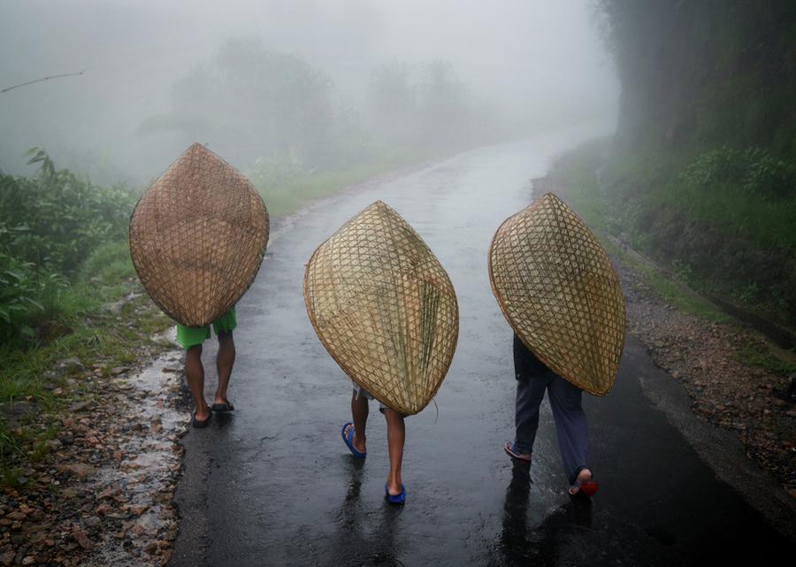 Meghalaya: The Wettest Place on Earth - The Atlantic