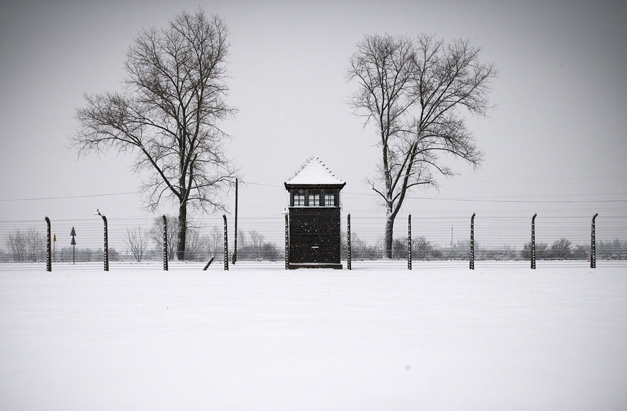 Remembering Auschwitz: 70 Years After Liberation - The Atlantic