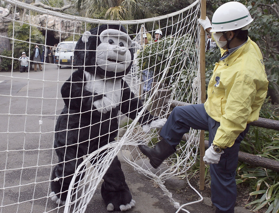 Zoo Security Drills: When Animals Escape - The Atlantic