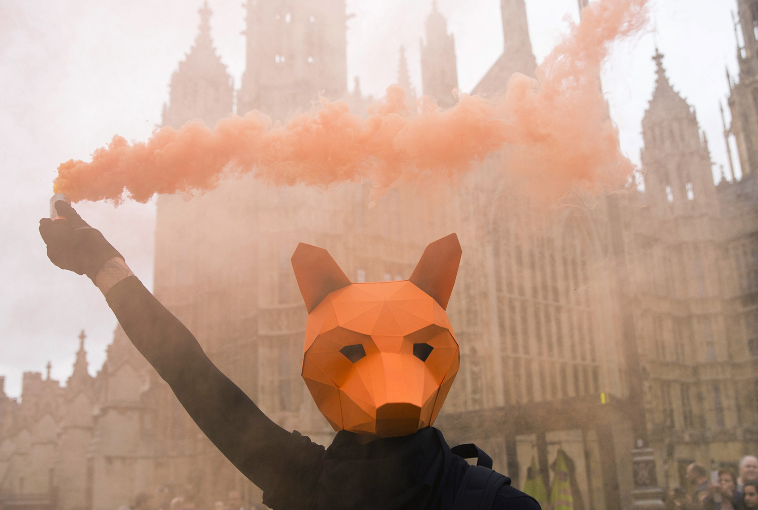 A demonstrator wearing a fox mask holds a smoke canister during an anti ...