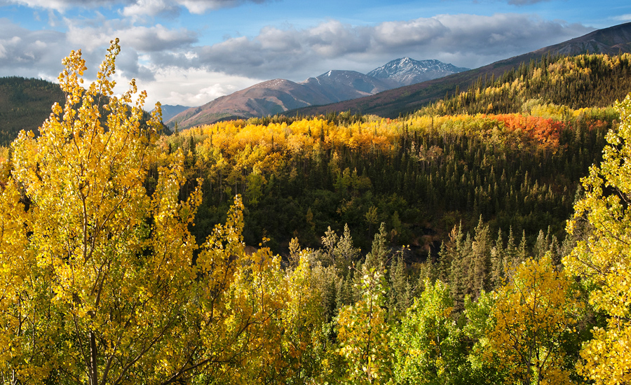 Autumn in Denali Park - The Atlantic