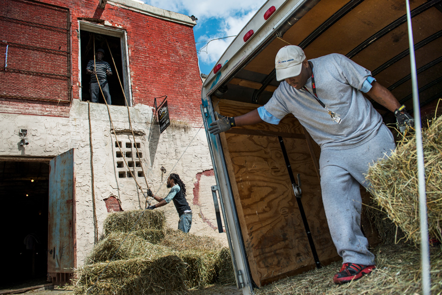 Photographs of Fletcher Street Urban Riding Club - The Atlantic