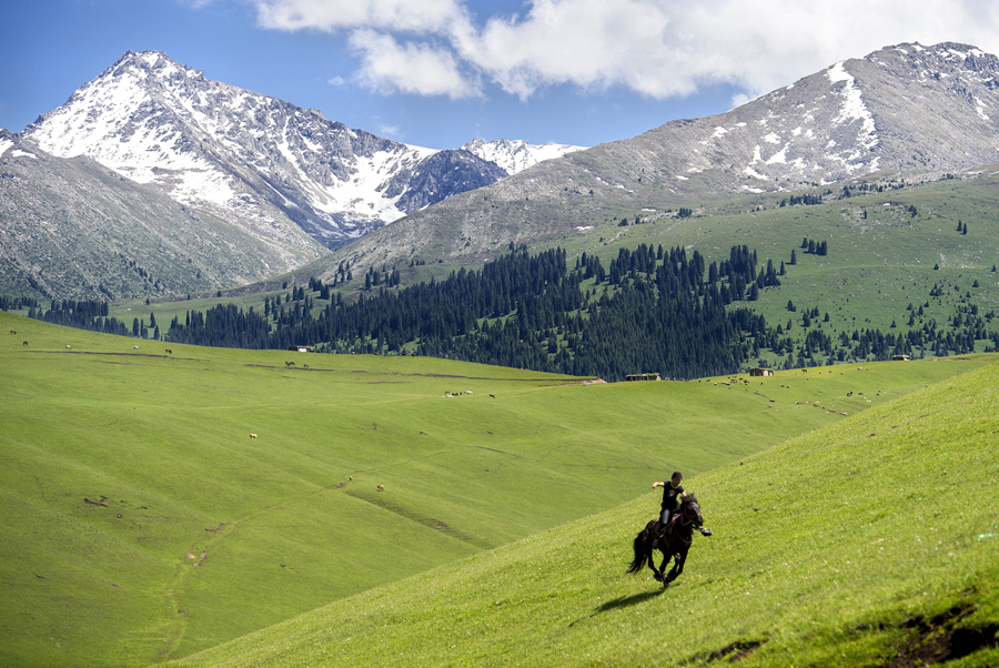 Scenes From Xinjiang - The Atlantic