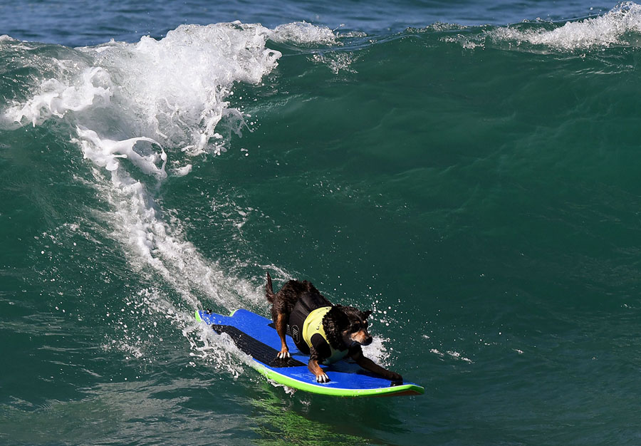 Blue-Wave Photos - The Atlantic