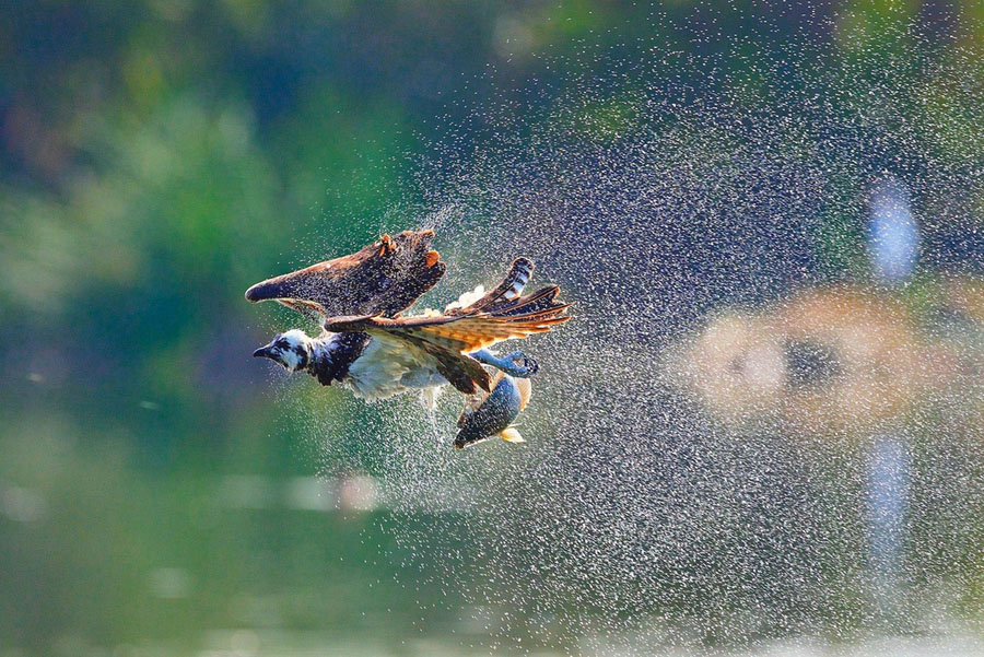 2019 National Geographic Travel Photo Contest - The Atlantic