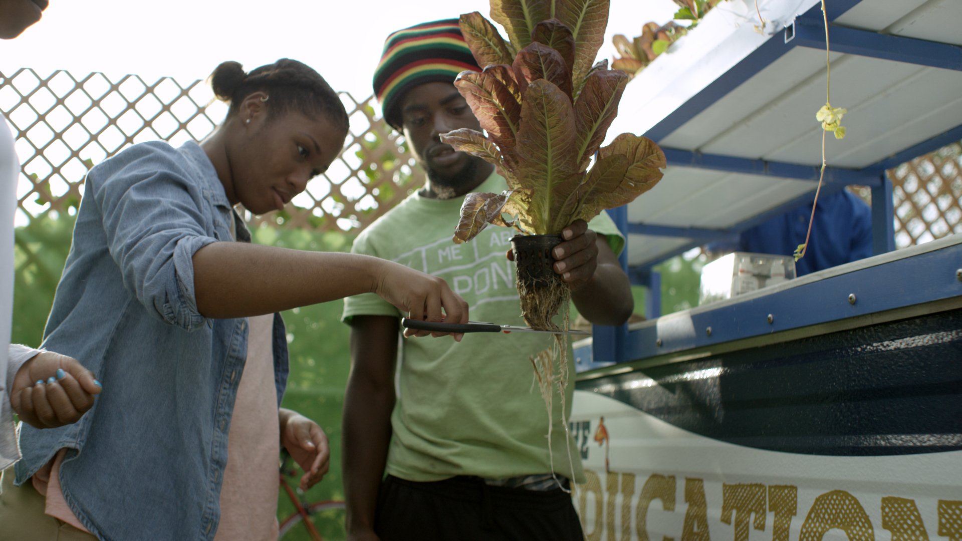 Tackling the Youth Unemployment Crisis – Impact investing