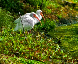 Ask Alison: Tell Him He's Getting Fat? - The Atlantic