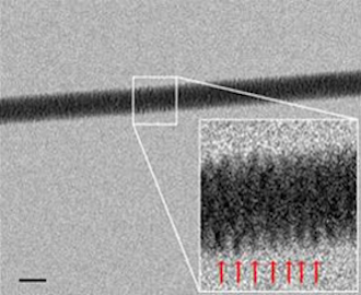 What DNA Actually Looks Like - The Atlantic