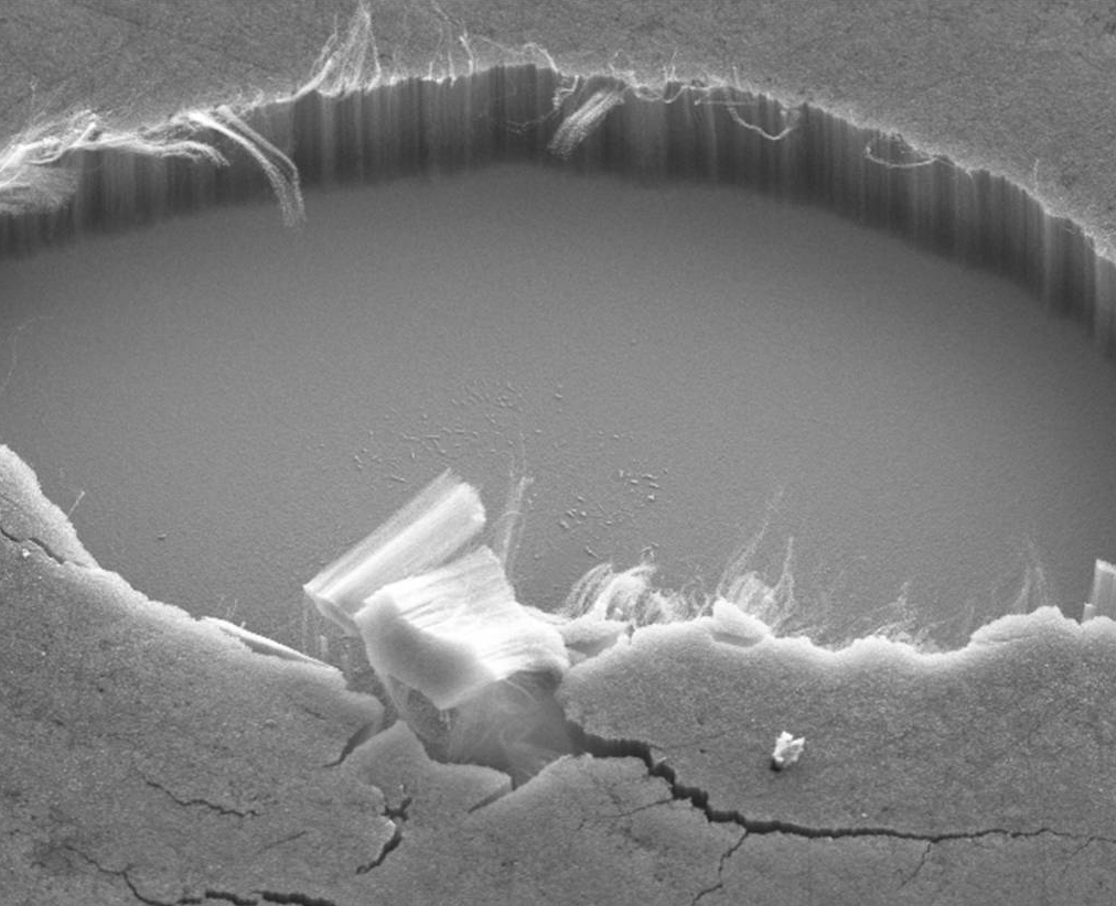 Picture of the Day: Super Light-Absorbent Material - The Atlantic