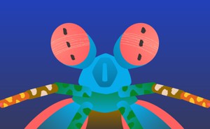 How a Sewing Machine Works, Explained in a GIF - The Atlantic