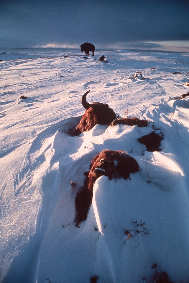 First Drafts: How Sam Abell Makes a Photograph - The Atlantic