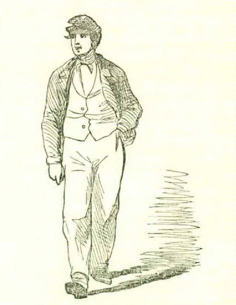 The Human Wheel, Its Spokes and Felloes - The Atlantic