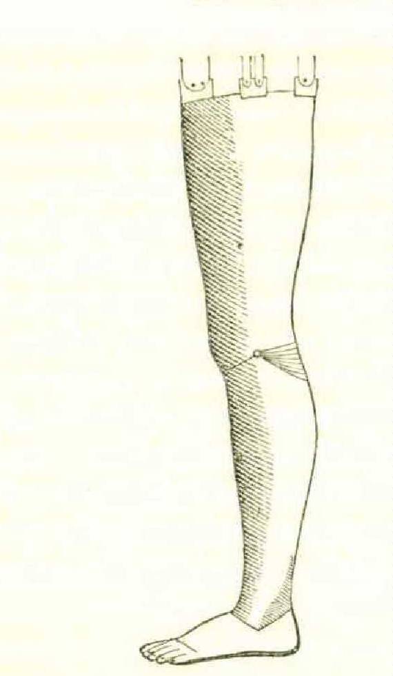 The Human Wheel, Its Spokes and Felloes - The Atlantic