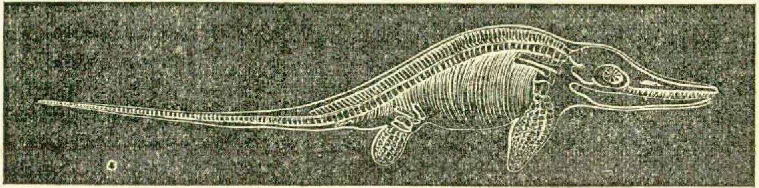 The Geological Middle Age - The Atlantic