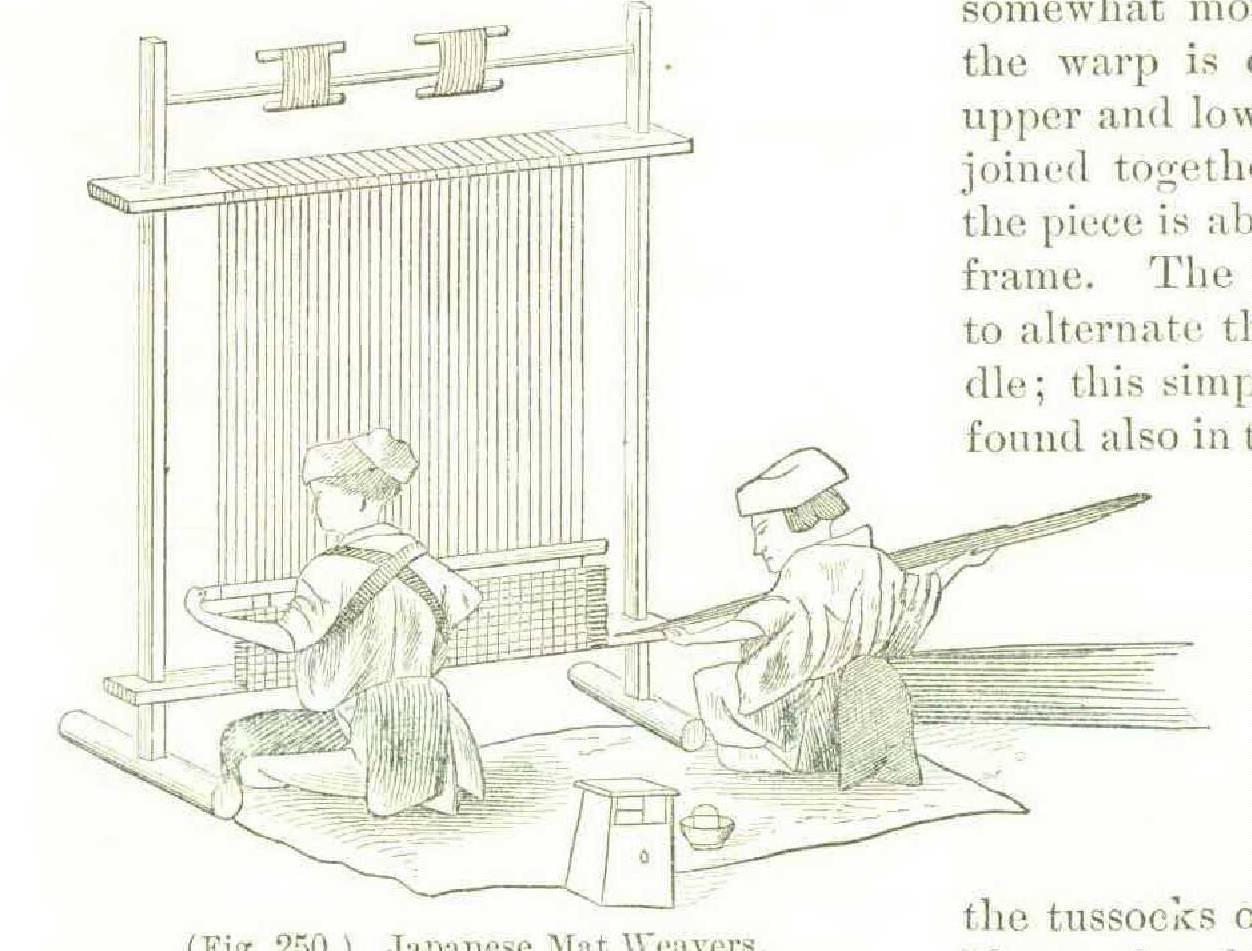 Crude and Curious Inventions at the Centennial Exhibition - The Atlantic