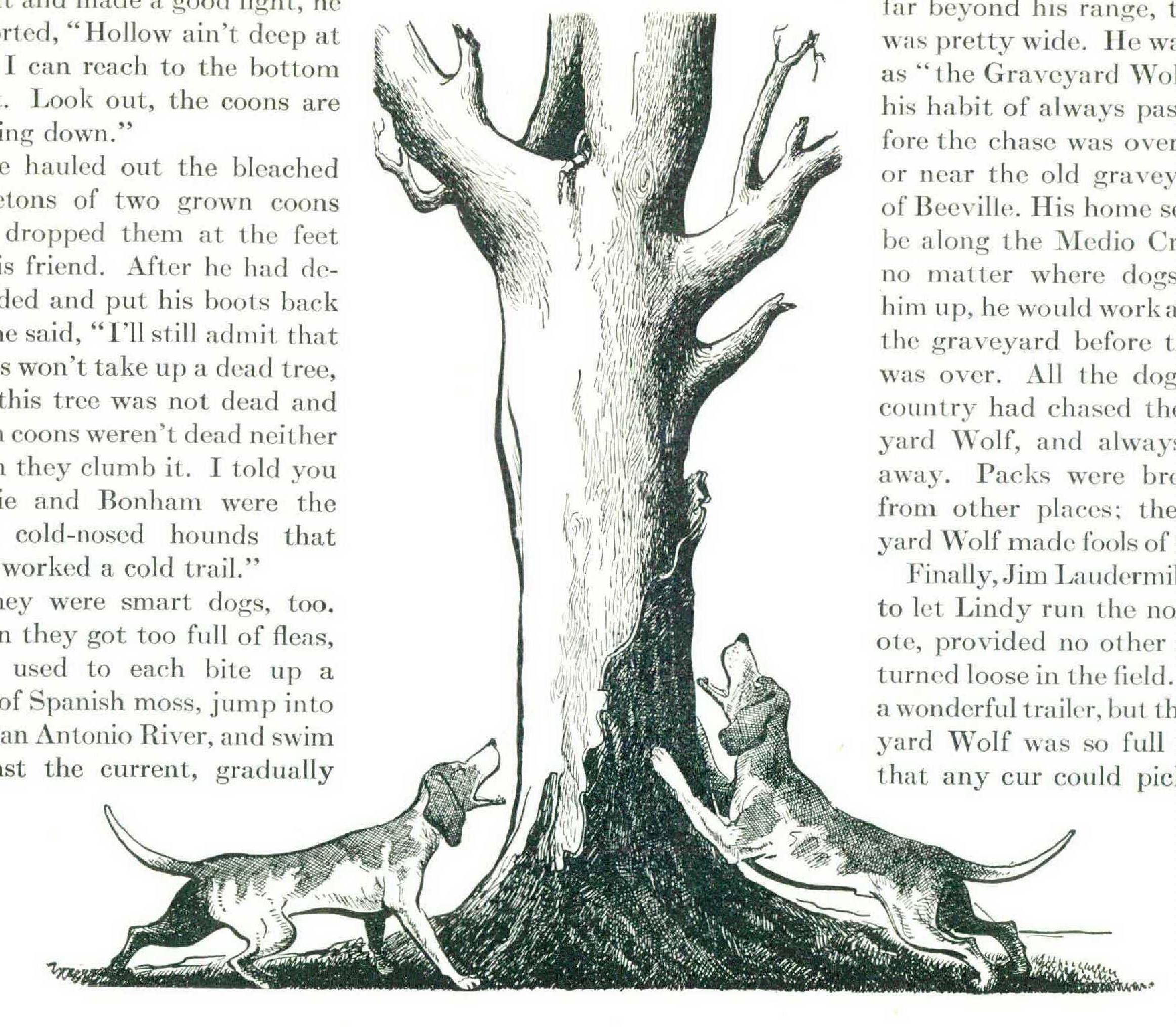 The Cold-Nosed Hounds - The Atlantic