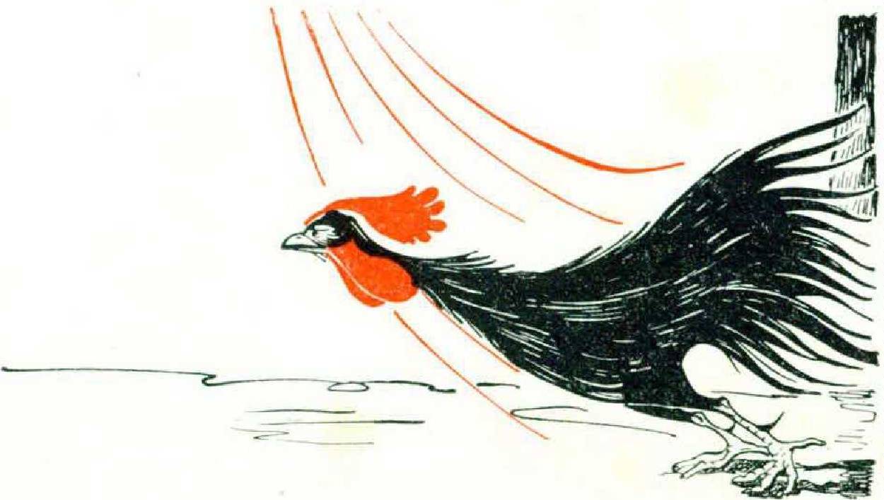 February Hens - The Atlantic