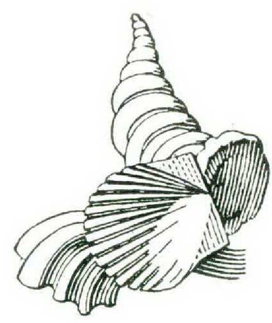 You Row or You Study - The Atlantic