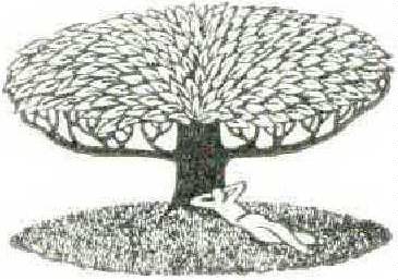 The Minister's Cat - The Atlantic