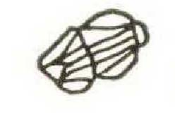 The Neurotic's Notebook - The Atlantic