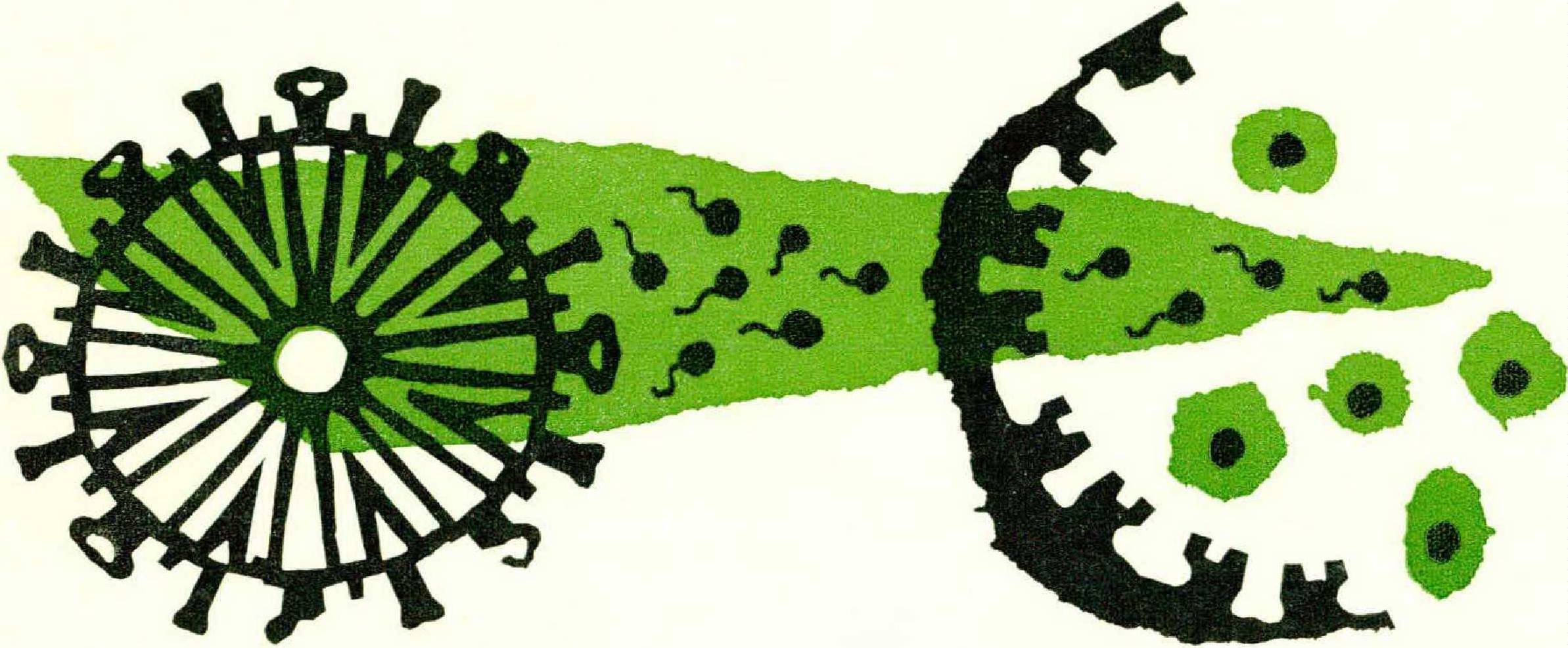 On Living in a Biological Revolution - The Atlantic