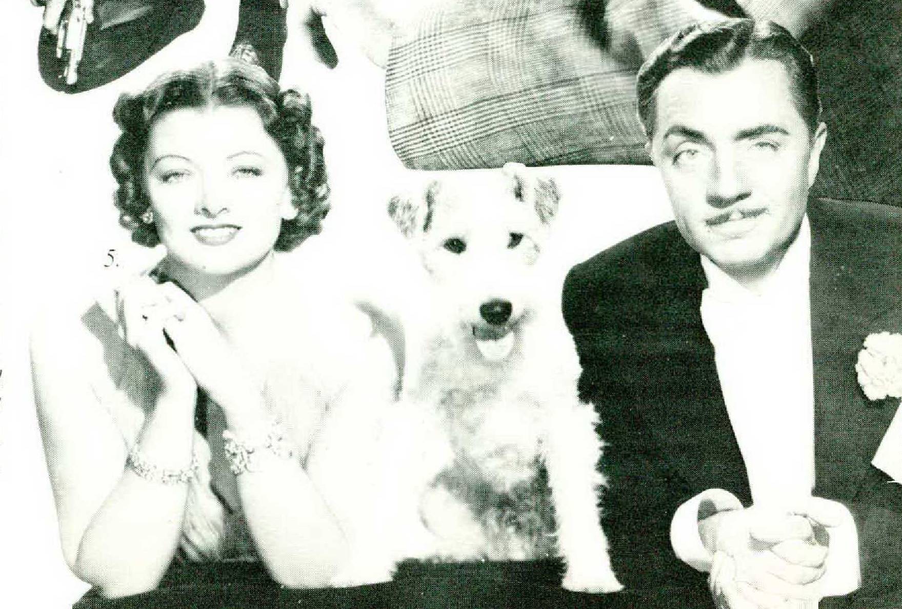 Whatever Happened to Sam Spade? The Private Eye in Fact and Fiction ...